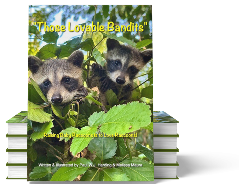 Books – Paul Harding